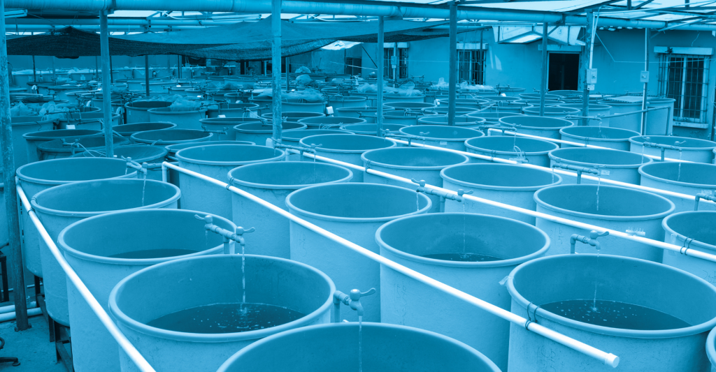 Aquaculture - qualityfood.co